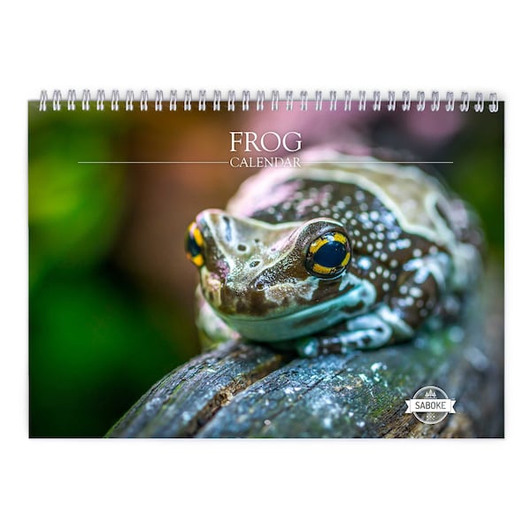 2024 Frog Calendar - Etsy
