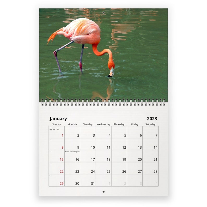 Flamingo 2023 Wall Calendar ID:12782 - Etsy