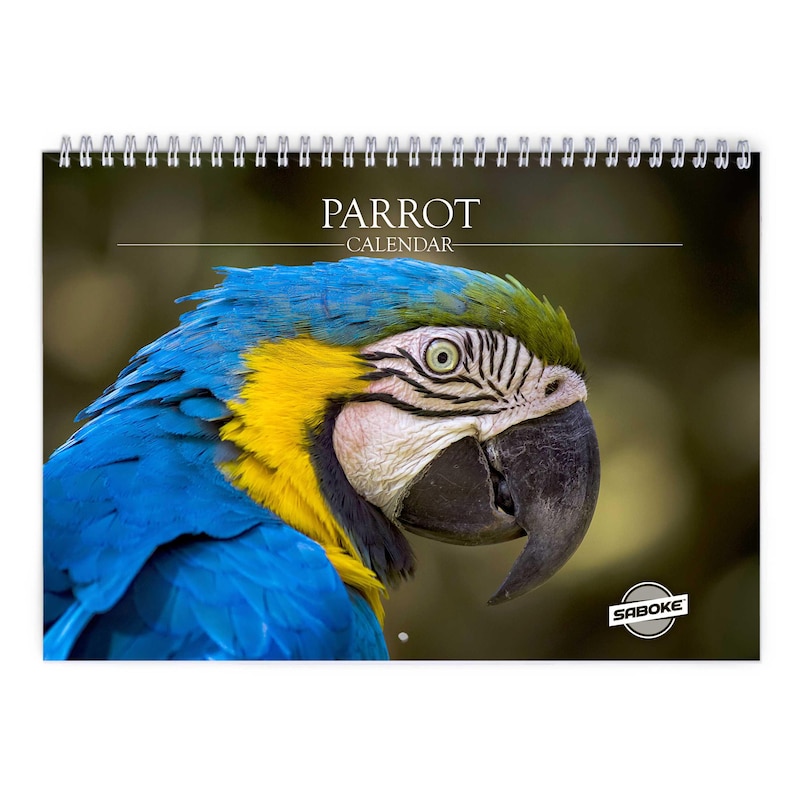 2026 Parrot Calendar - Etsy