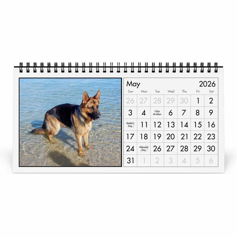 German Shepherd 2026 Desk Calendar ID:L23127 - Etsy