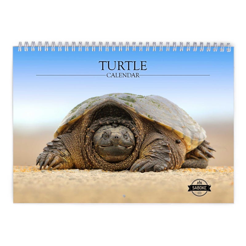 Turtles Wall Calendar - Etsy
