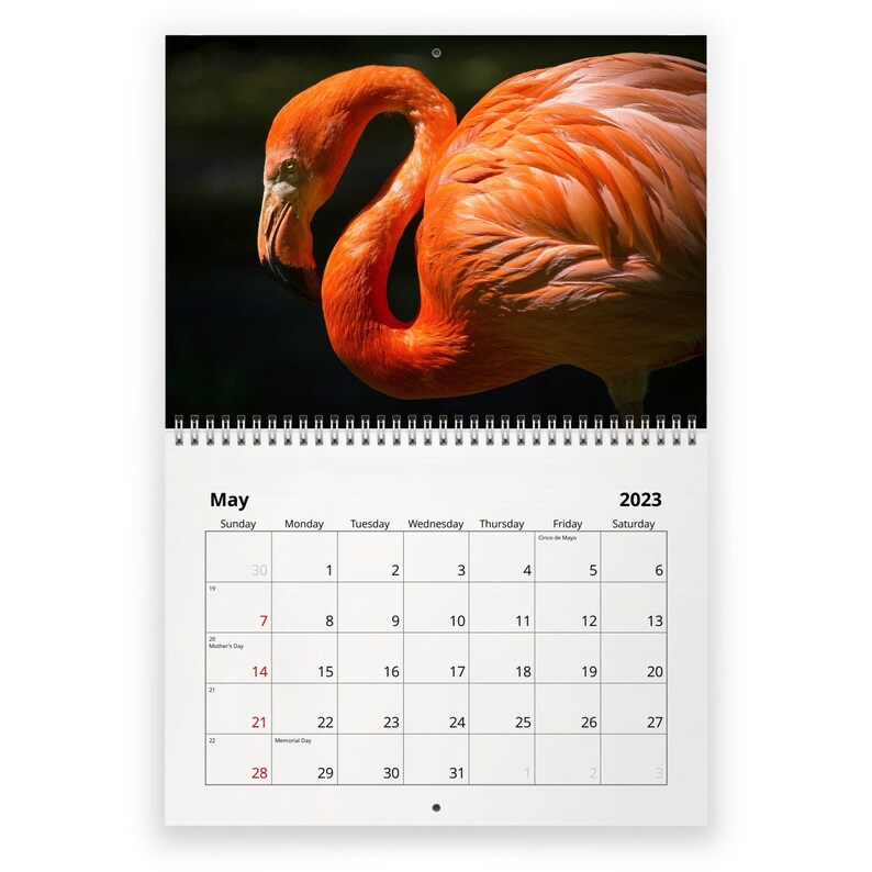 Flamingo 2023 Wall Calendar ID:12782 - Etsy