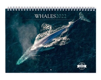 Whale Calendar | Etsy