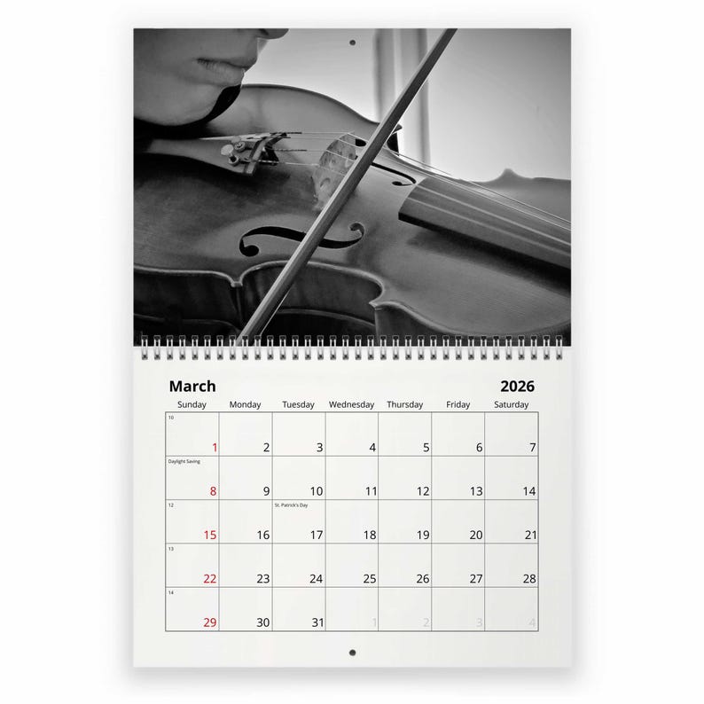 Violin 2026 Wall Calendar ID:W26127 - Etsy