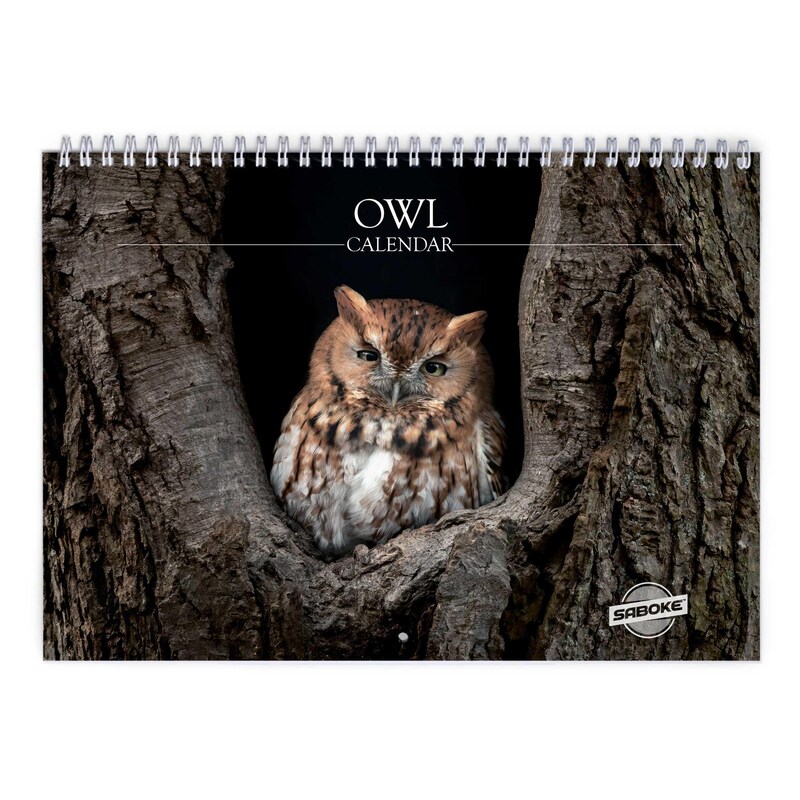 Owls 2026 Calendar - Etsy