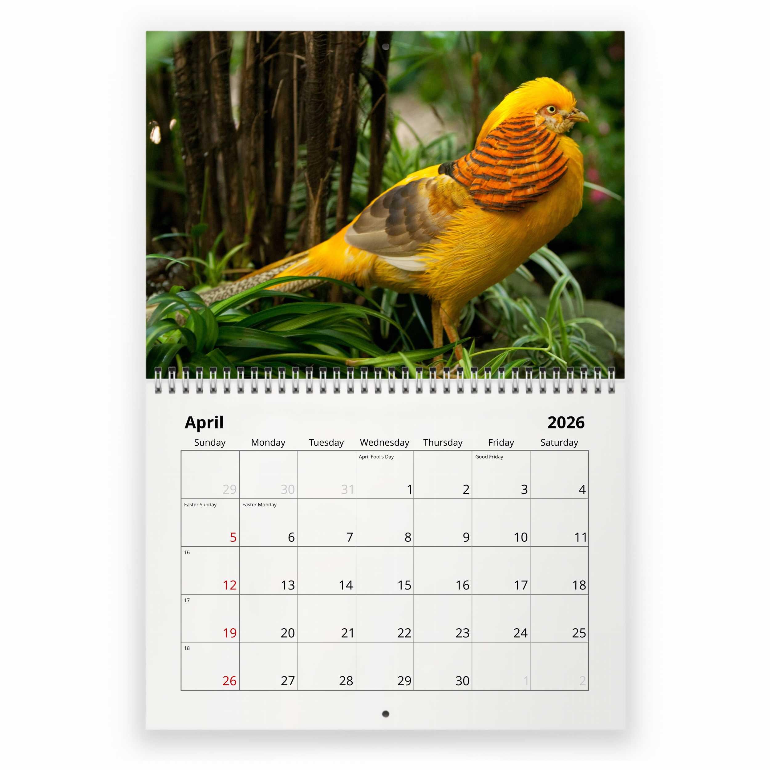 Parrot 2026 Wall Calendar ID:W26110 - Etsy