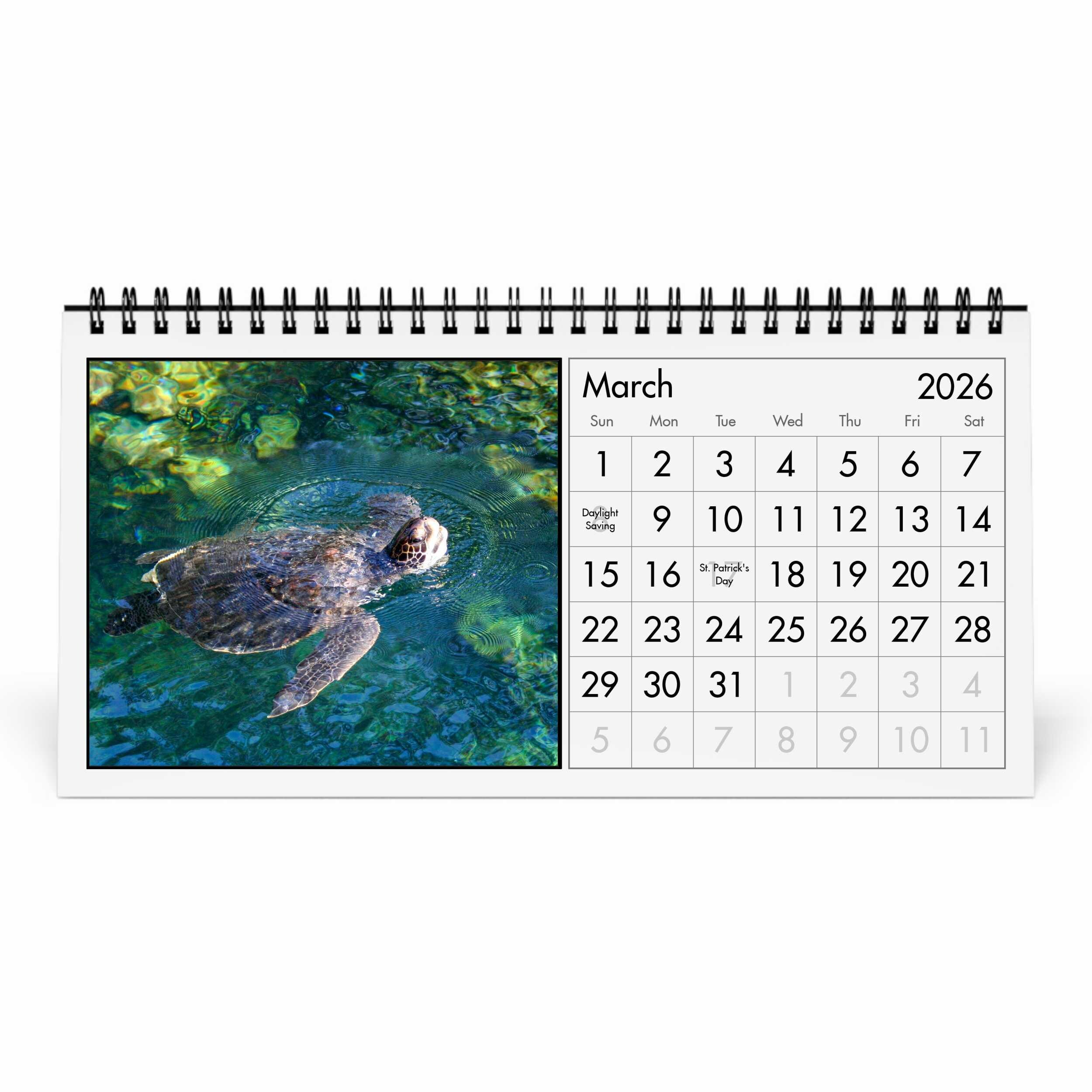Turtle 2026 Desk Calendar ID:L23114 - Etsy