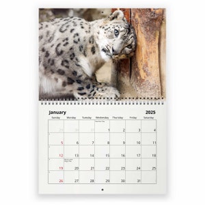 Snow Leopard 2025 Wall Calendar ID:W25045 - Etsy