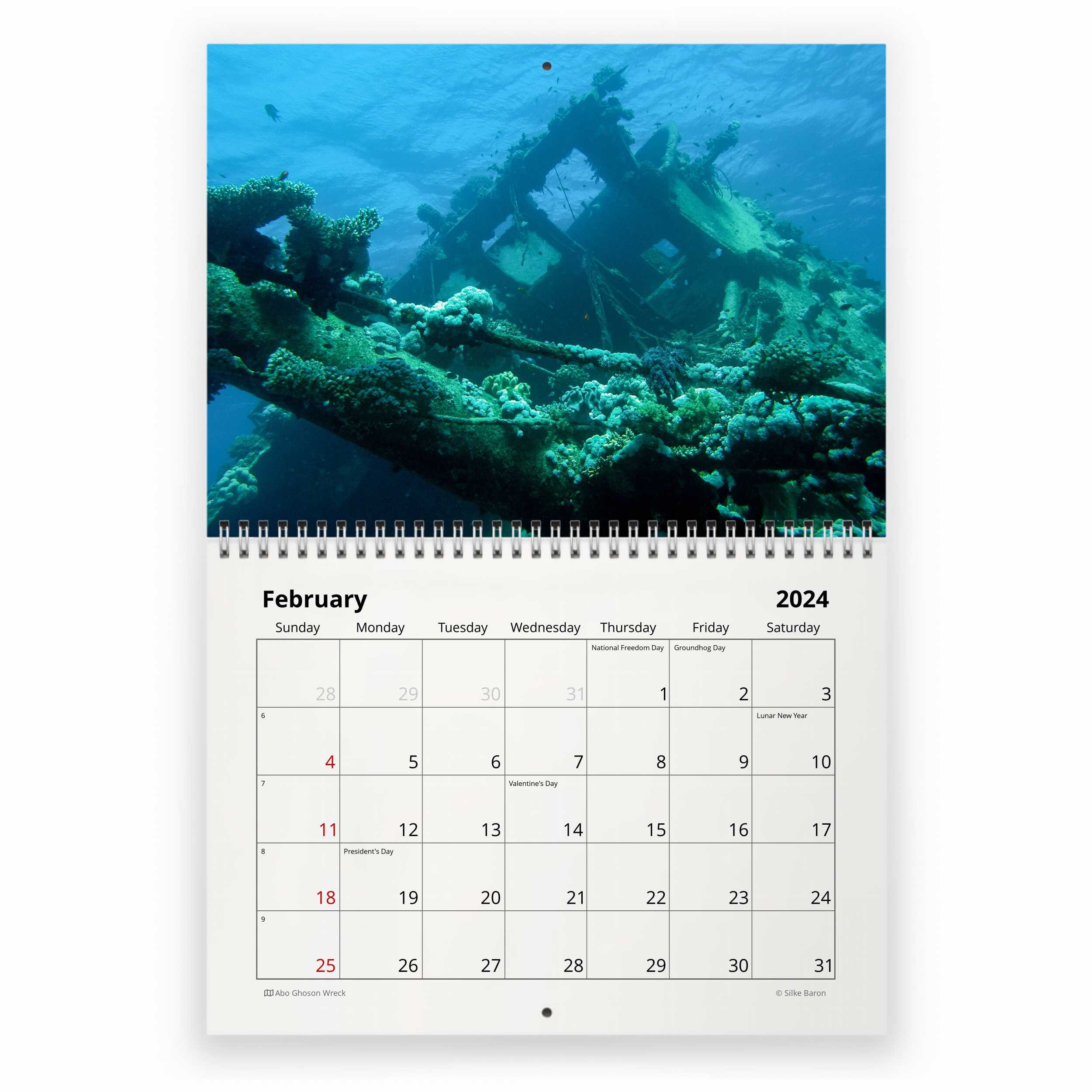 Diving 2024 Wall Calendar sold by Bored Marisa | SKU 97159789 | 50% OFF ...
