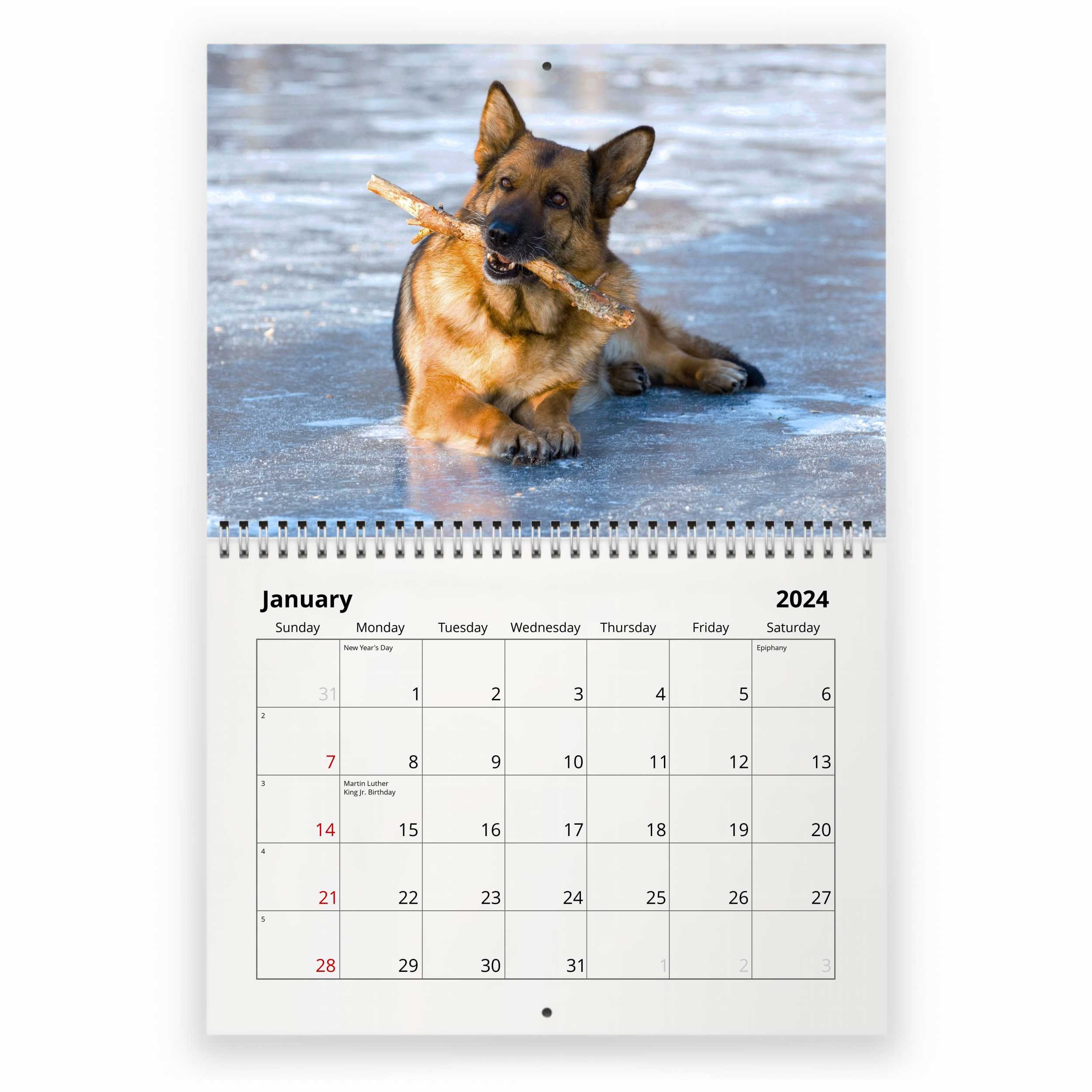 German Shepherd 2024 Wall Calendar sold by Bored Marisa | SKU 97160007 ...