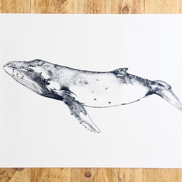 Large Whale Print - Etsy UK