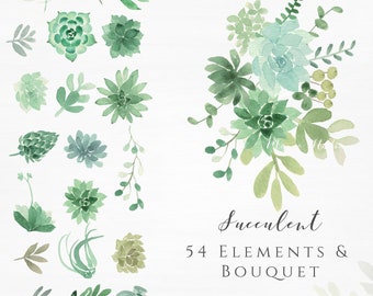 Watercolor Succulent Bouquet: Succulent Greenery Floral | Etsy