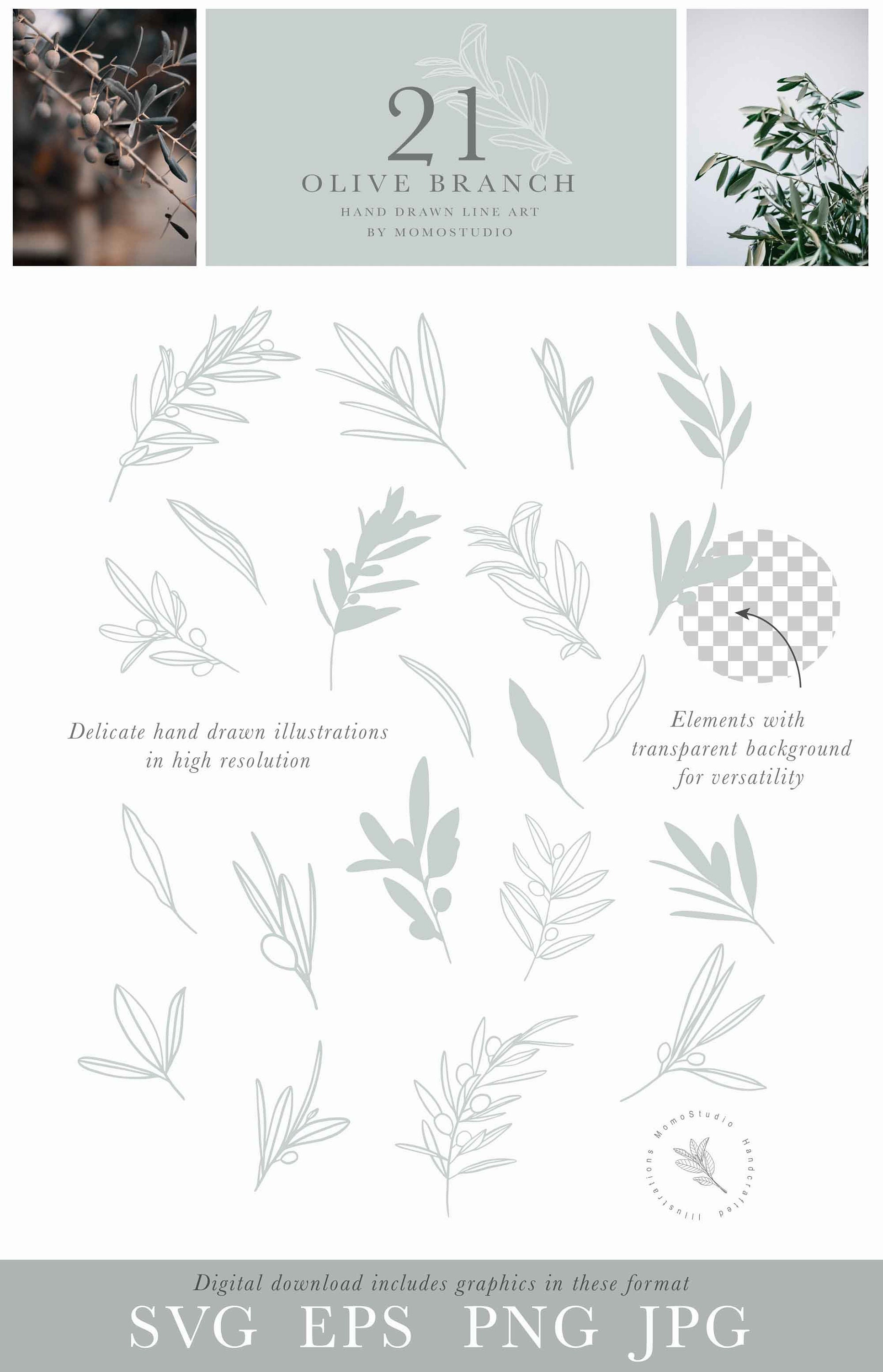 OLIVE Branch Line Art Clipart Olive Leaf Png Wedding - Etsy