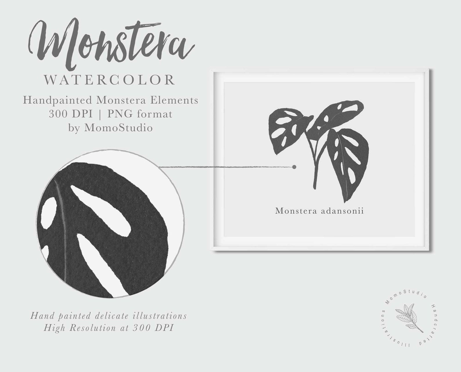 Watercolor MONSTERA Floral Frames Hand Painted Botanical | Etsy