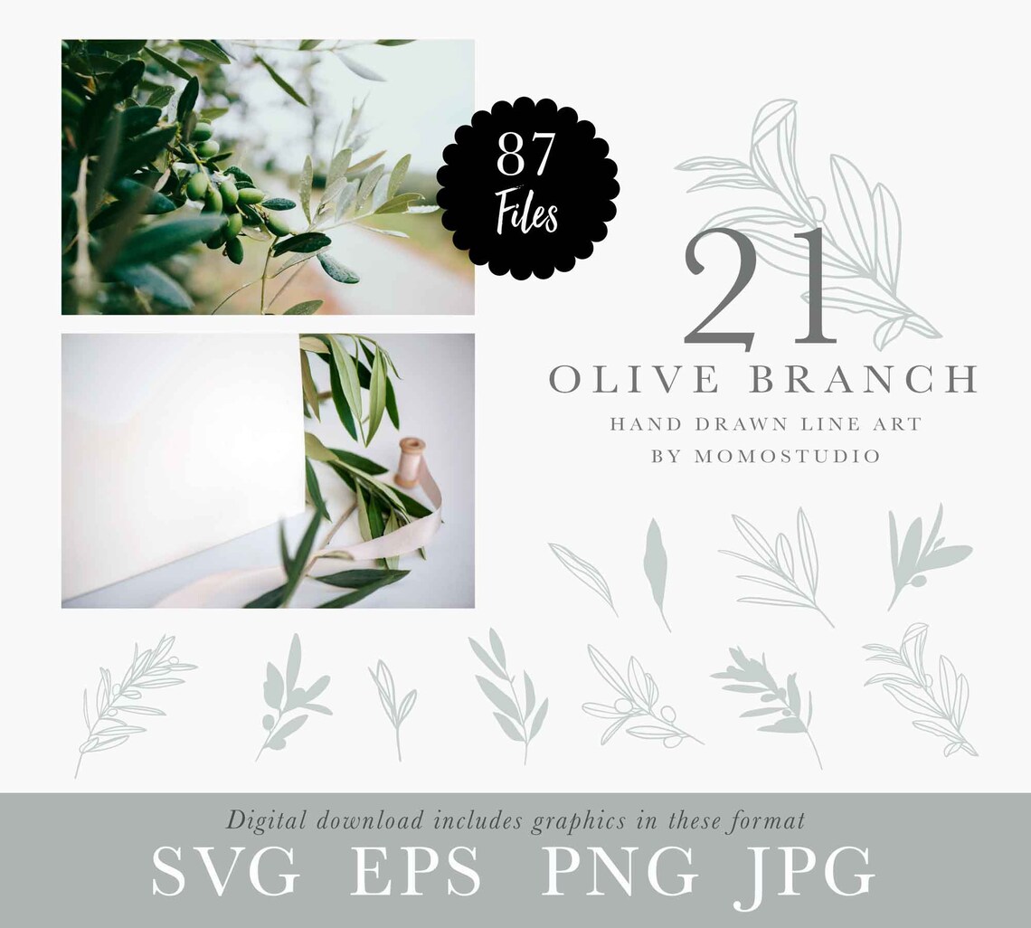 OLIVE Branch Line Art Clipart Olive Leaf Png Wedding - Etsy