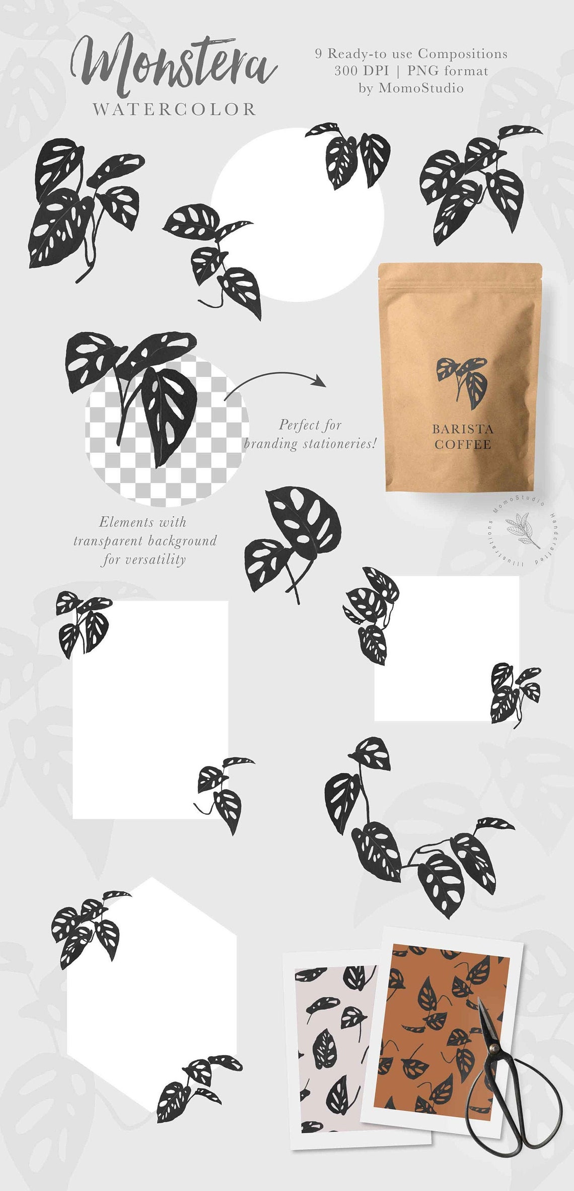 Watercolor MONSTERA Floral Frames Hand Painted Botanical | Etsy