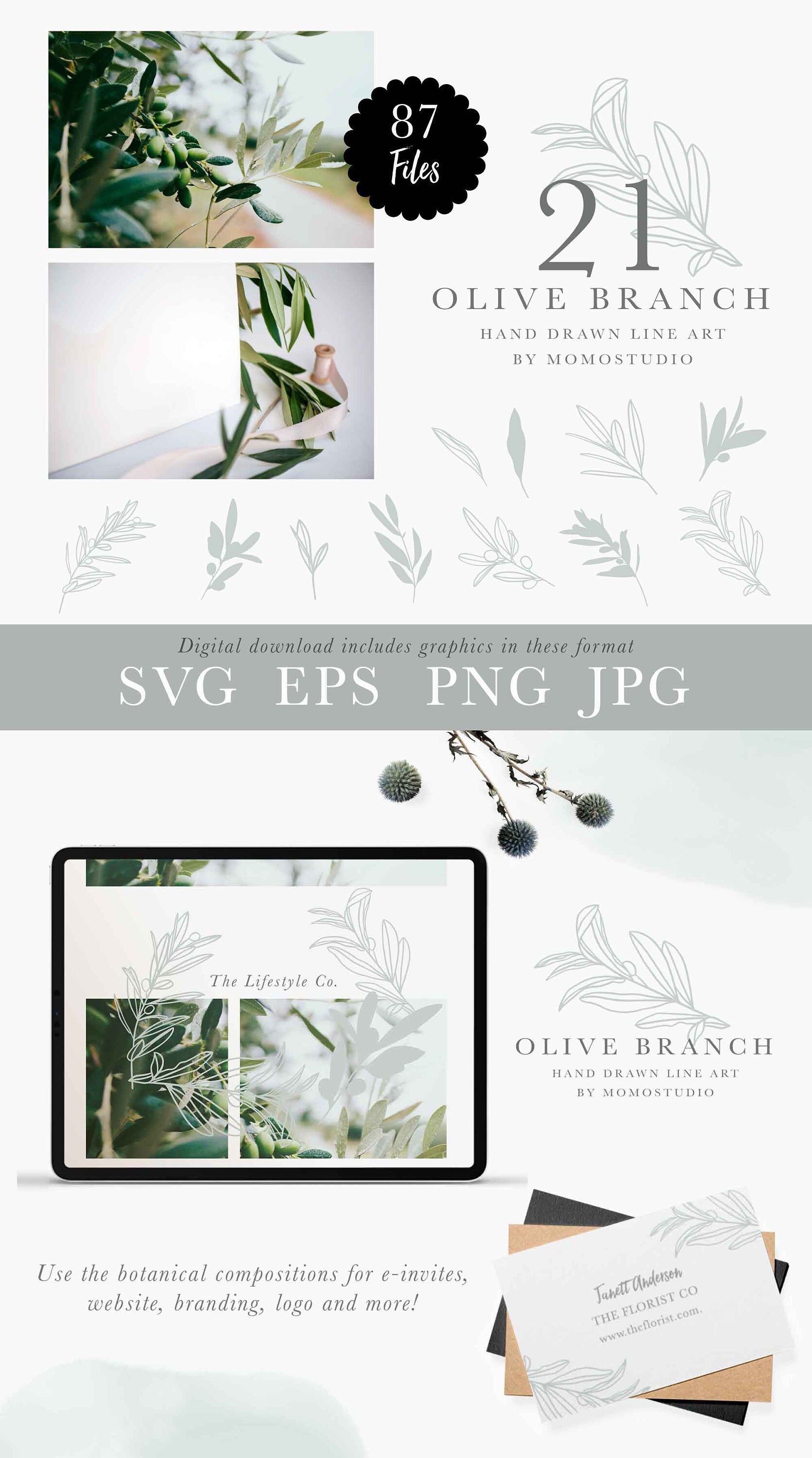 OLIVE Branch Line Art Clipart Olive Leaf Png Wedding - Etsy
