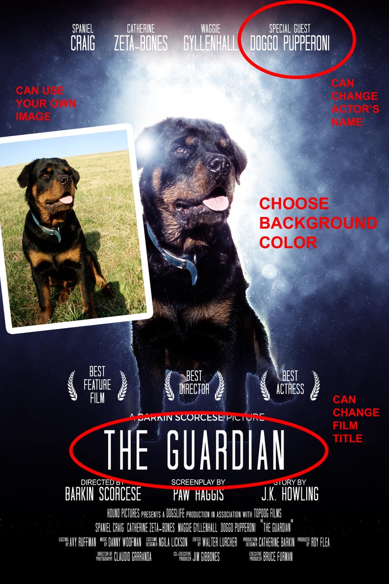 CUSTOM Movie Poster Print | Your Dog or Pet as a Movie Hero | 24x36 or ...
