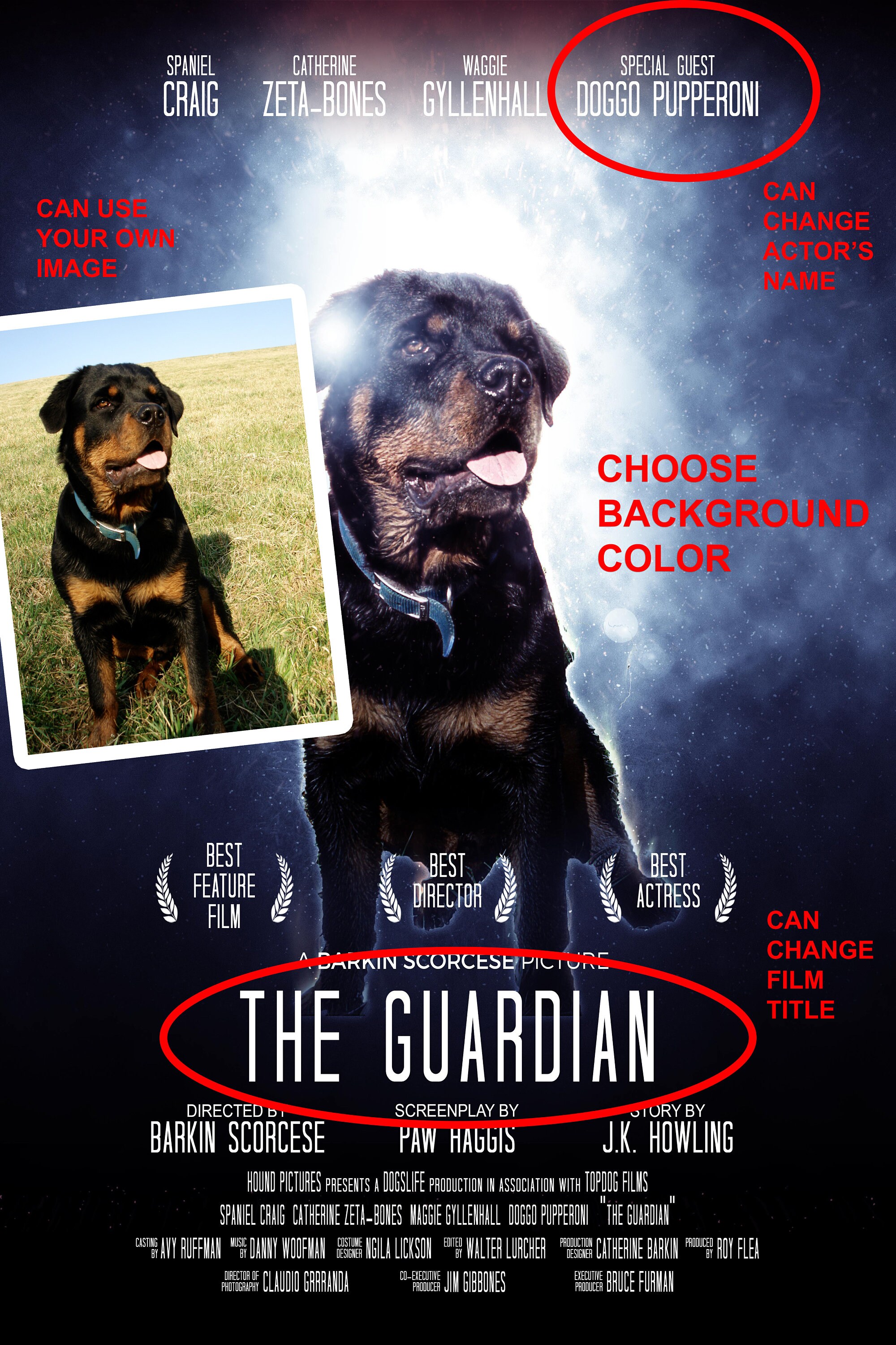 CUSTOM Movie Poster Print | Your Dog or Pet as a Movie Hero | 24x36 or ...