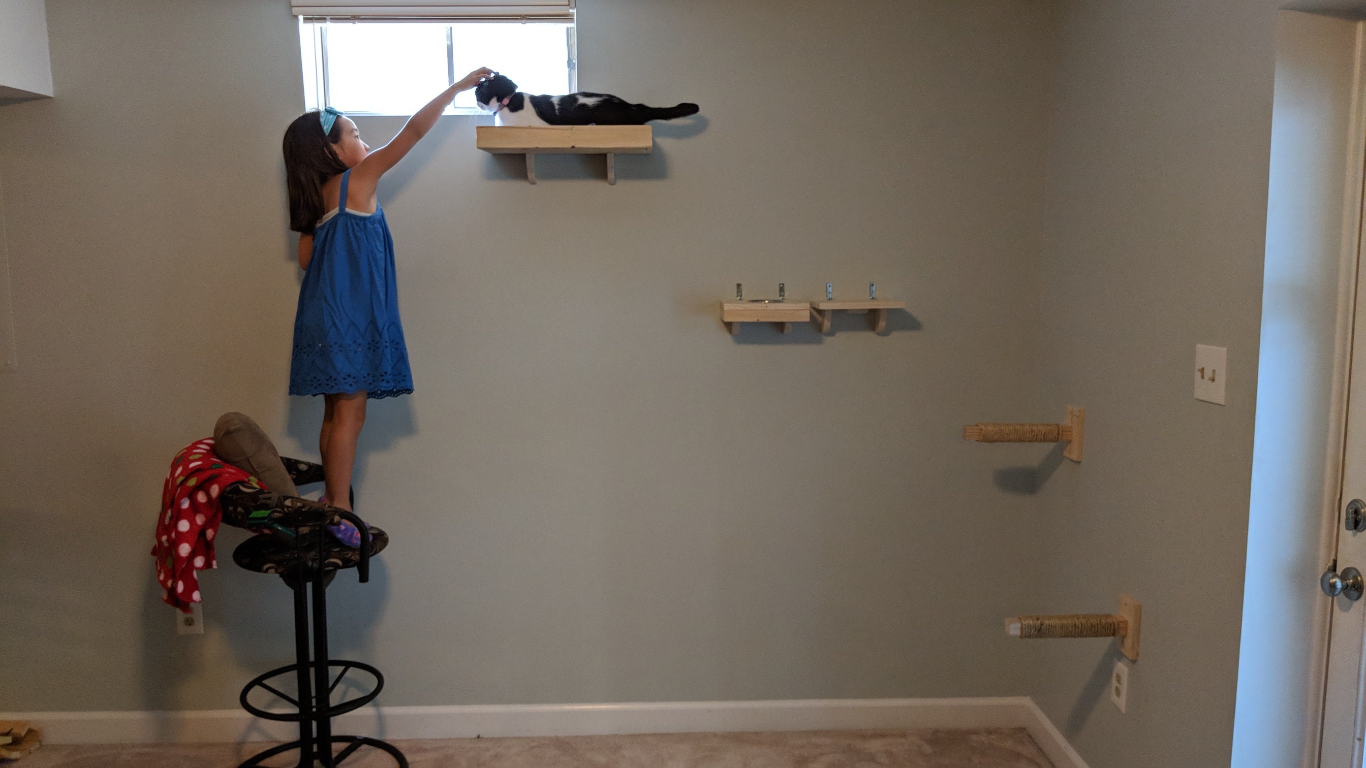How To Safely And Securely Install Cat Shelf Beds and Posts | Etsy