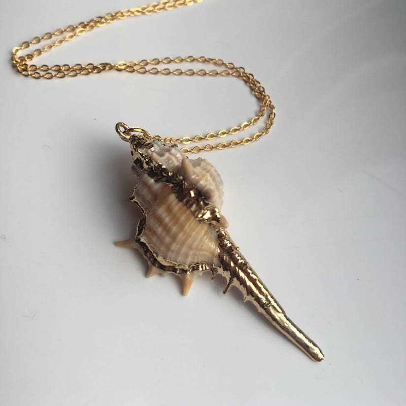 Real Seashell Necklace - Etsy