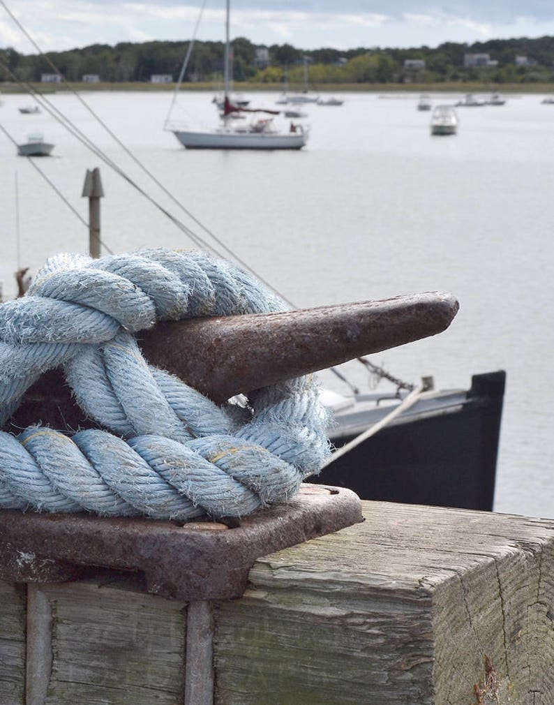 Cape Cod Blue Knotted Rope in Harbor Horizontal Printed - Etsy