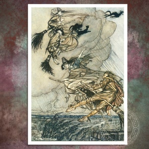 Vintage Book Illustration witches and Cats Arthur Rackham c.1907 From ...