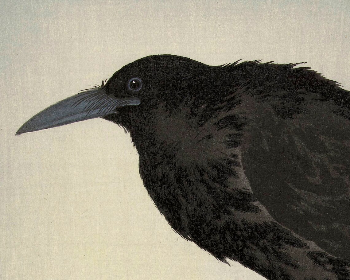 Ohara Koson crow at Full Moon c.1920 Vintage - Etsy UK