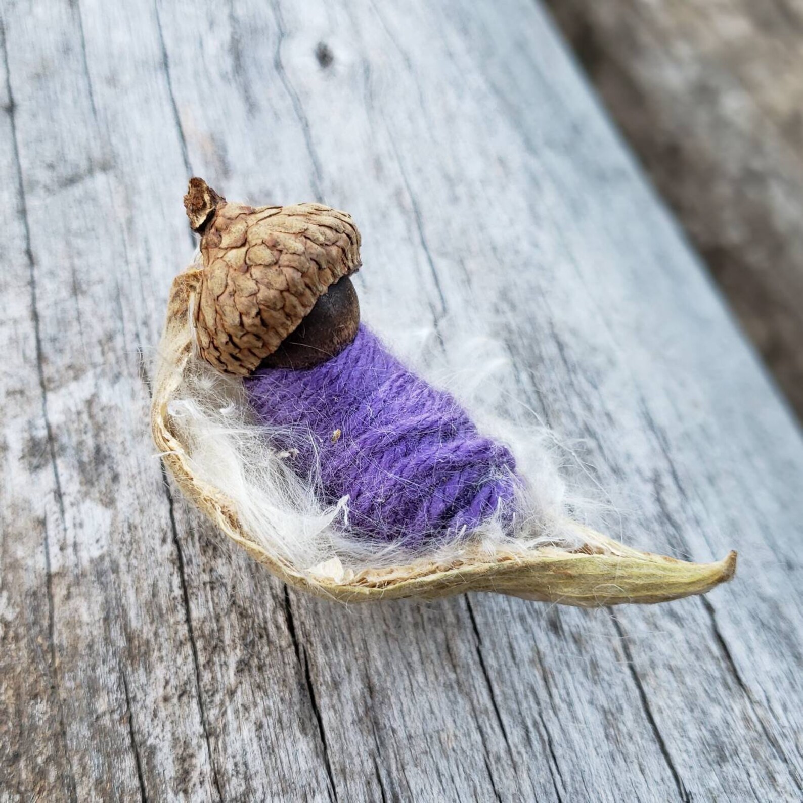 Sleeping Baby in Milkweed Pod Cradle. Christmas Ornament. Christmas ...