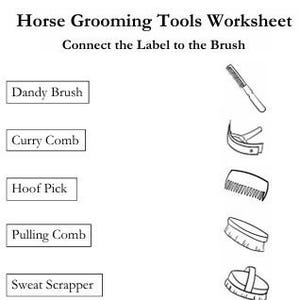 PRINTABLE Horse Grooming Tools Worksheet - Etsy