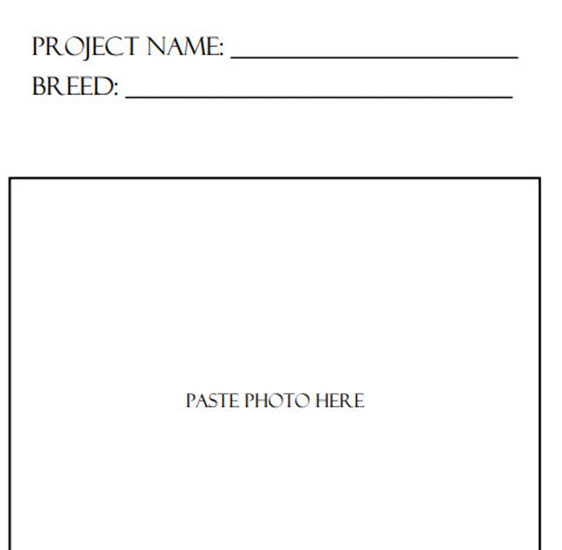PRINTABLE Duck Project Record Book - Etsy