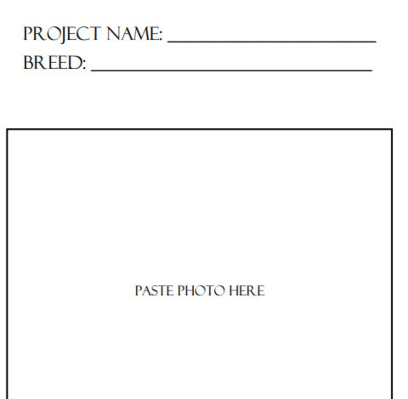 PRINTABLE Duck Project Record Book - Etsy