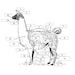 PRINTABLE Llama External Anatomy Worksheet - Etsy