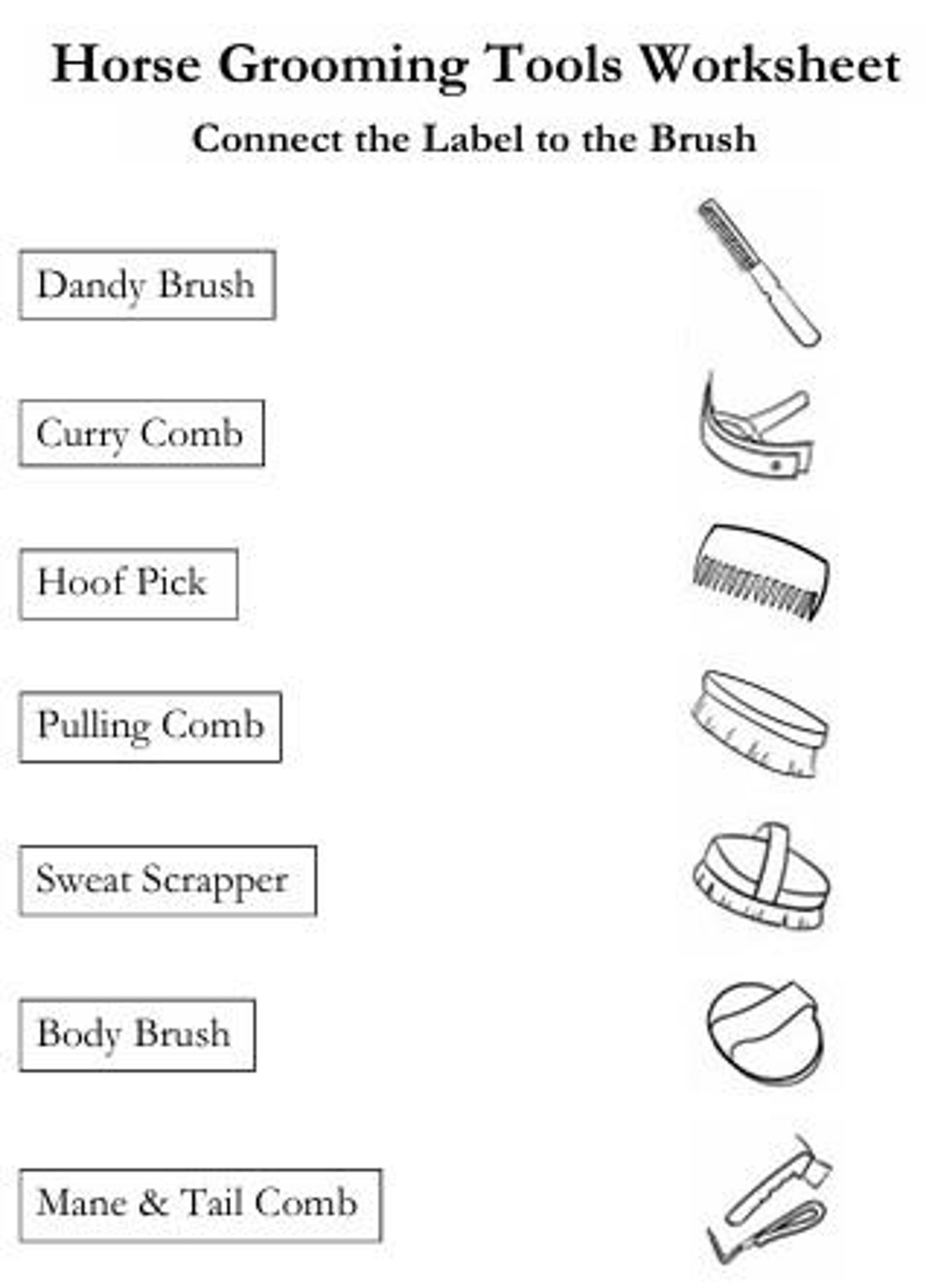 PRINTABLE Horse Grooming Tools Worksheet - Etsy