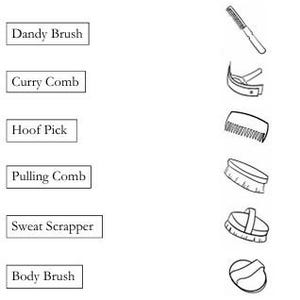 PRINTABLE Horse Grooming Tools Worksheet - Etsy