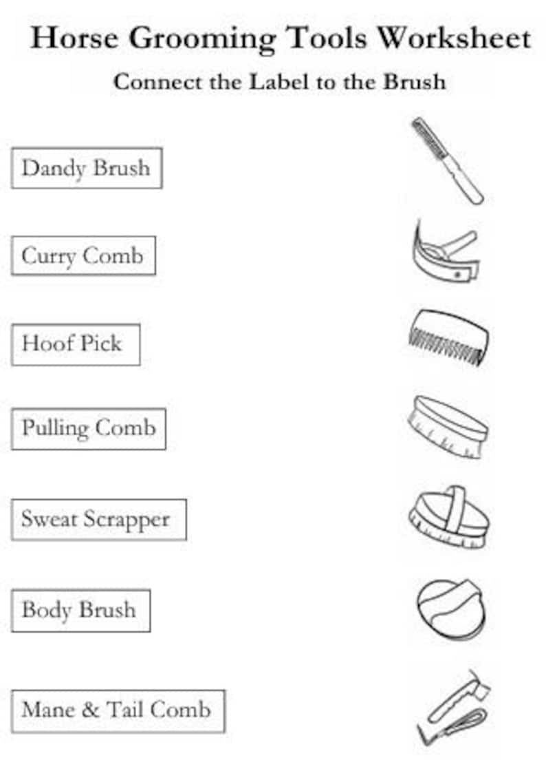 PRINTABLE Horse Grooming Tools Worksheet - Etsy
