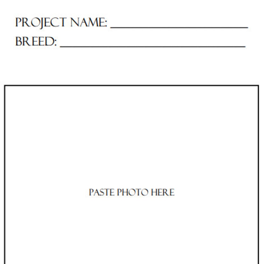 PRINTABLE Rabbit Youth Project Record Book - Etsy