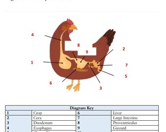 Vintage 70s Digital Art Color Palette - Etsy