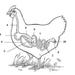 PRINTABLE Chicken Digestive Anatomy Worksheet and Practice Pages ...