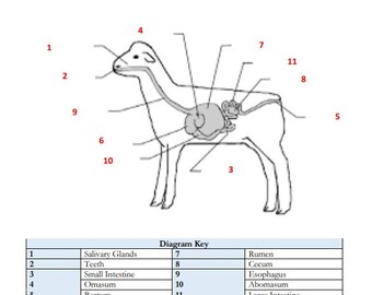Winter Digital Art Color Palette - Etsy