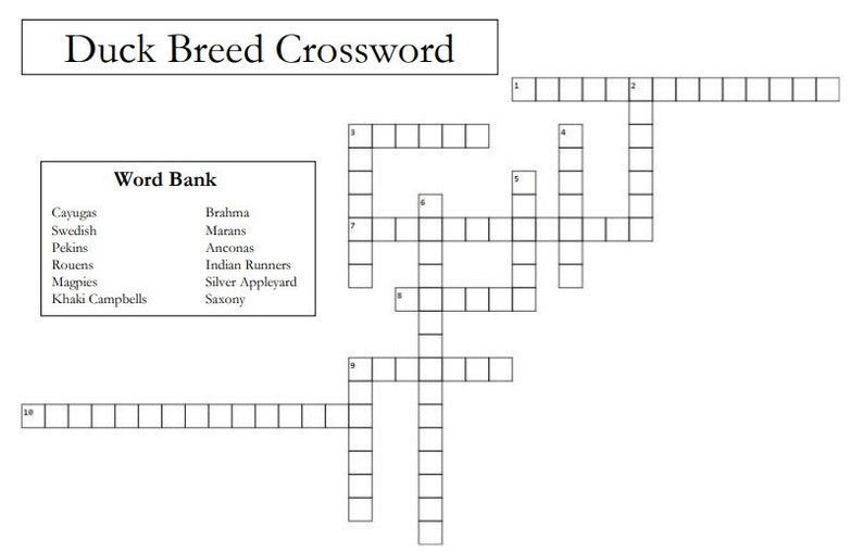 Wild Duck Crossword Clue