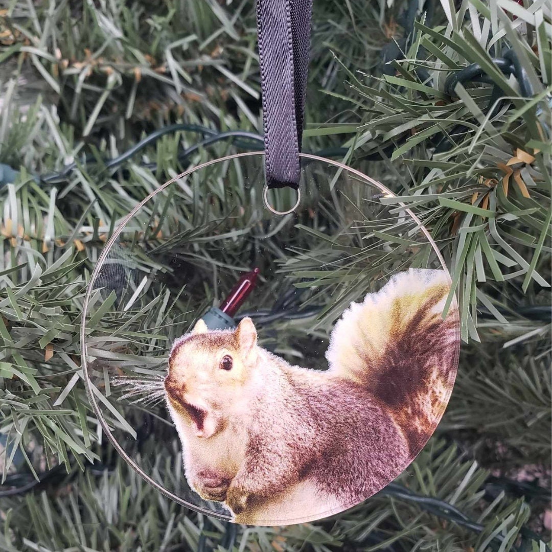 Squirrel Ornament Squirrel Gifts Squirrel Christmas - Etsy