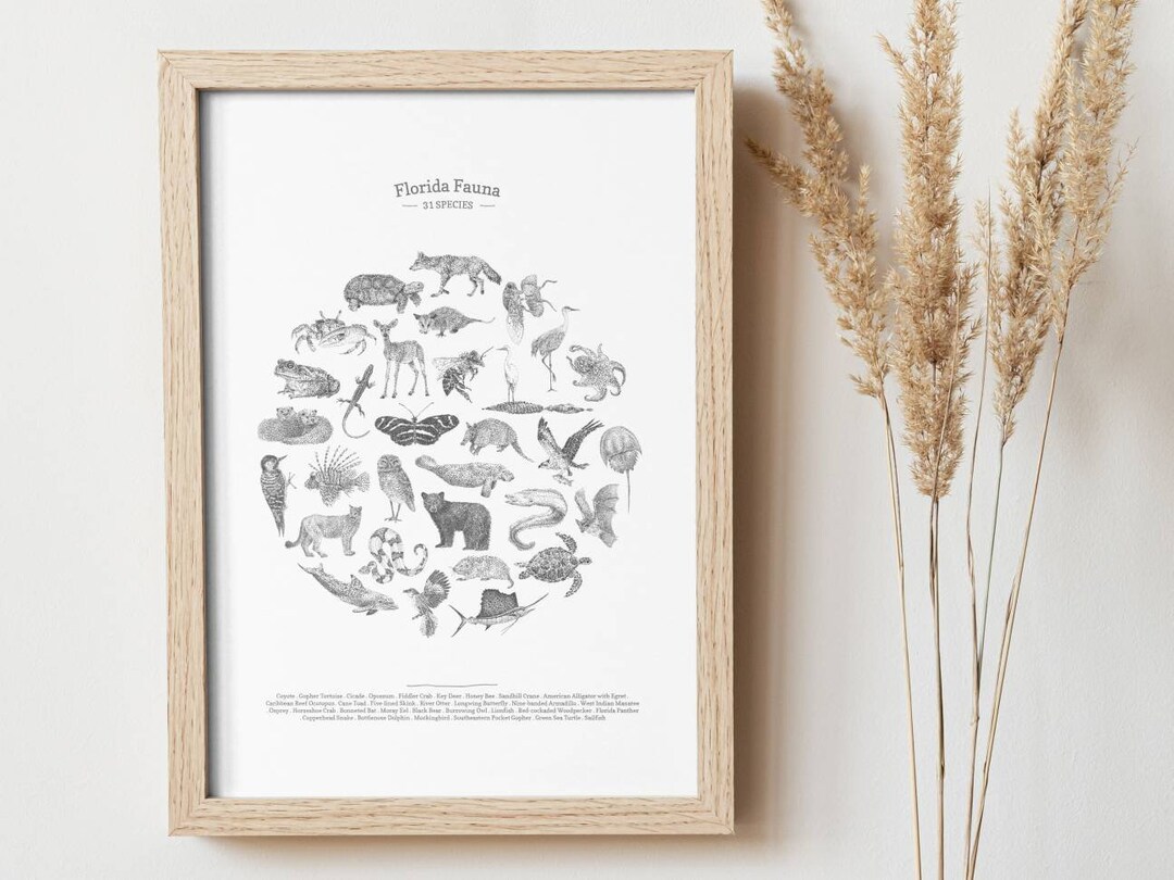 FLORIDA FAUNA Print (nature Illustration, Home Decor, Pen Drawing ...