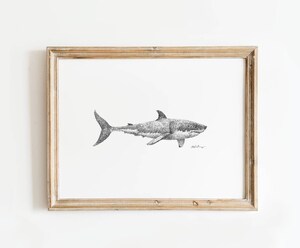 Shark Postcards, Black Ink Sharks, Watercolour Postcards, Whale Shark ...