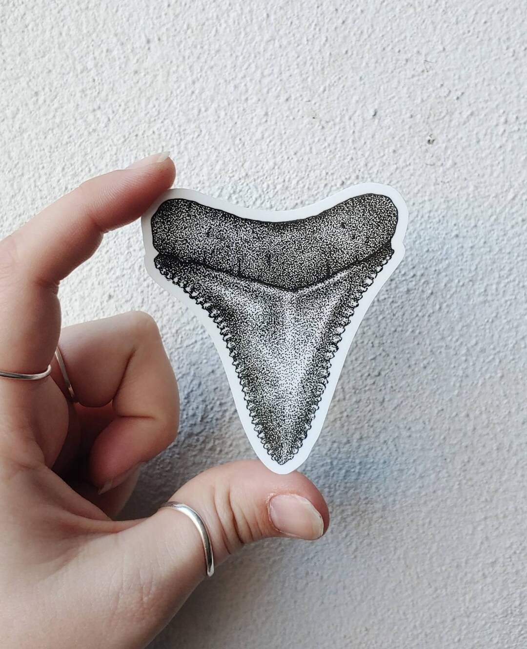 SHARK TOOTH Sticker 3" (vinyl, Nautical, Pointilism Illustration, Pen ...