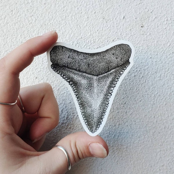 Shark Tooth Drawing - Etsy