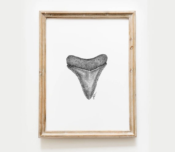 SHARK TOOTH Print minimalist Print Nautical Illustration | Etsy