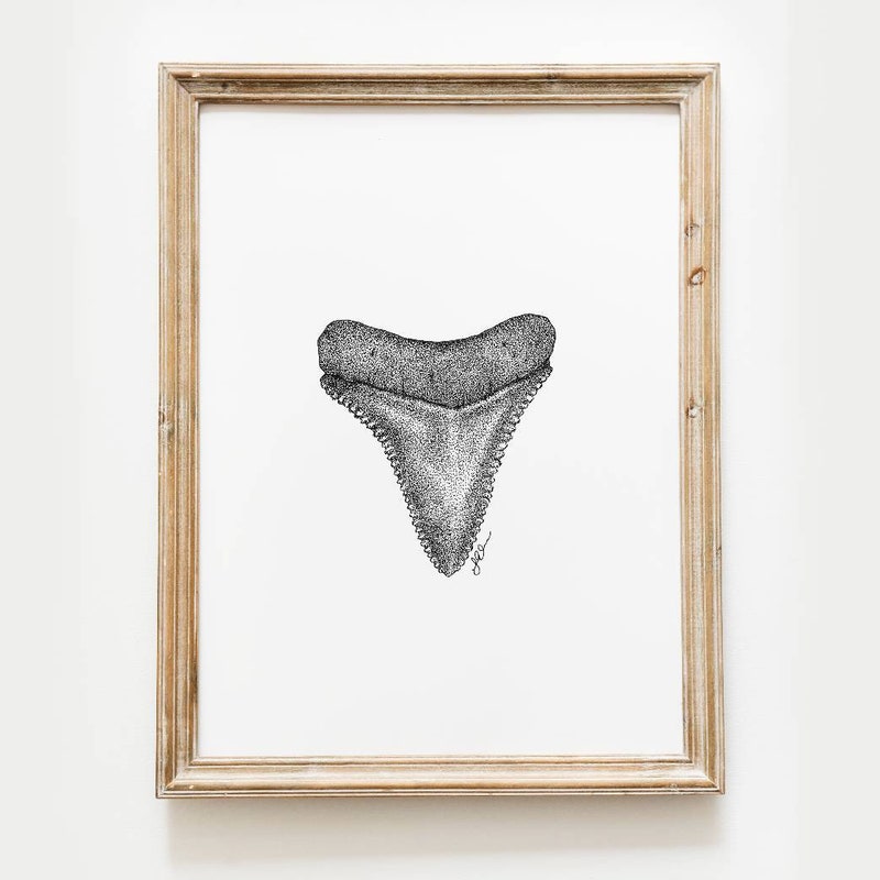 Shark Teeth - Etsy