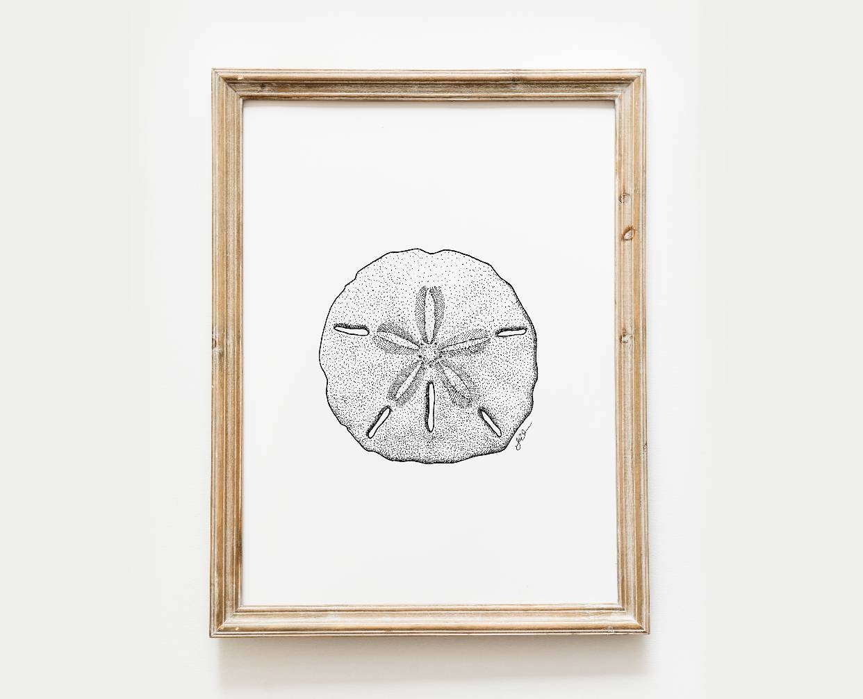 SAND DOLLAR Print (minimalist Print, Nautical Illustration, Home Decor ...