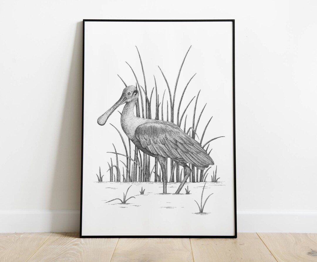 ROSEATE SPOONBILL Print (minimalist Print, Tropical, Black and White ...